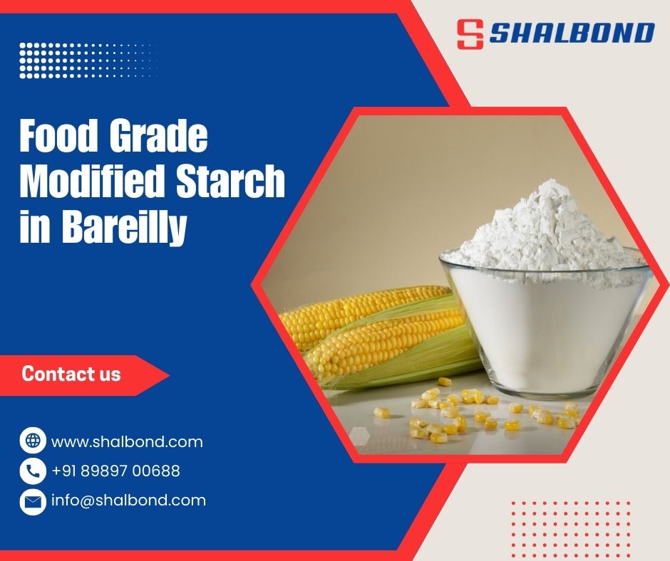 Top Food Grade Modified Starch Supplier in Bareilly